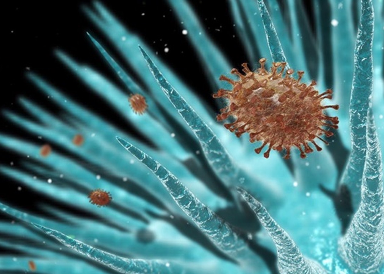 В Канаде от птичьего гриппа умер человек - Korrespondent.net