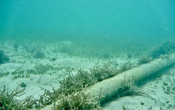 China has developed a device for cutting underwater cables - Buna Time